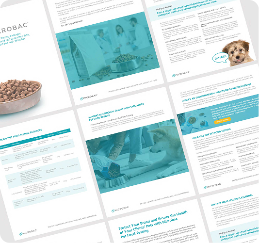 Print Ad Designs | Buzzcube